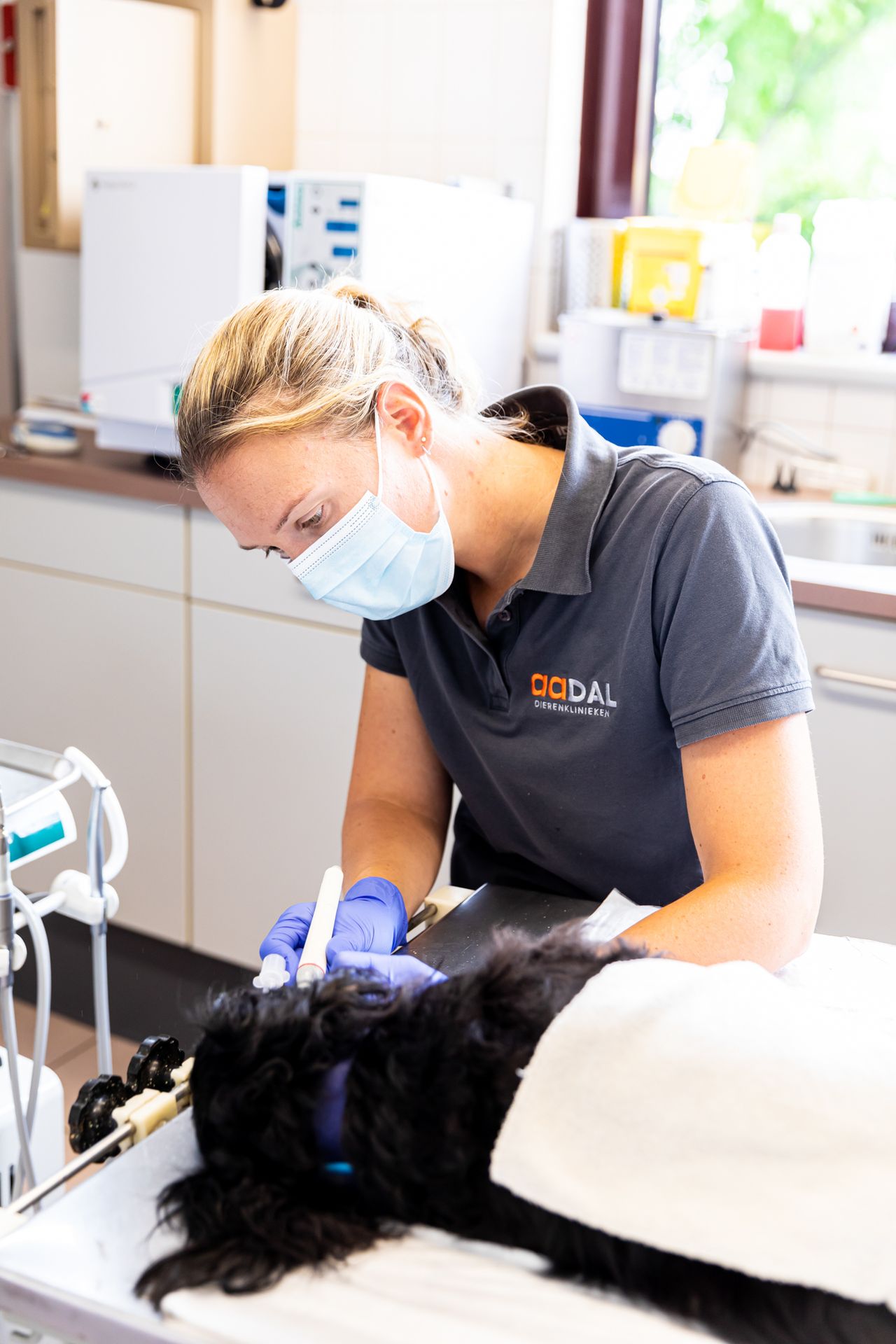 Bij Aadal dierenklinieken - expert in diergeneeskundige zorg